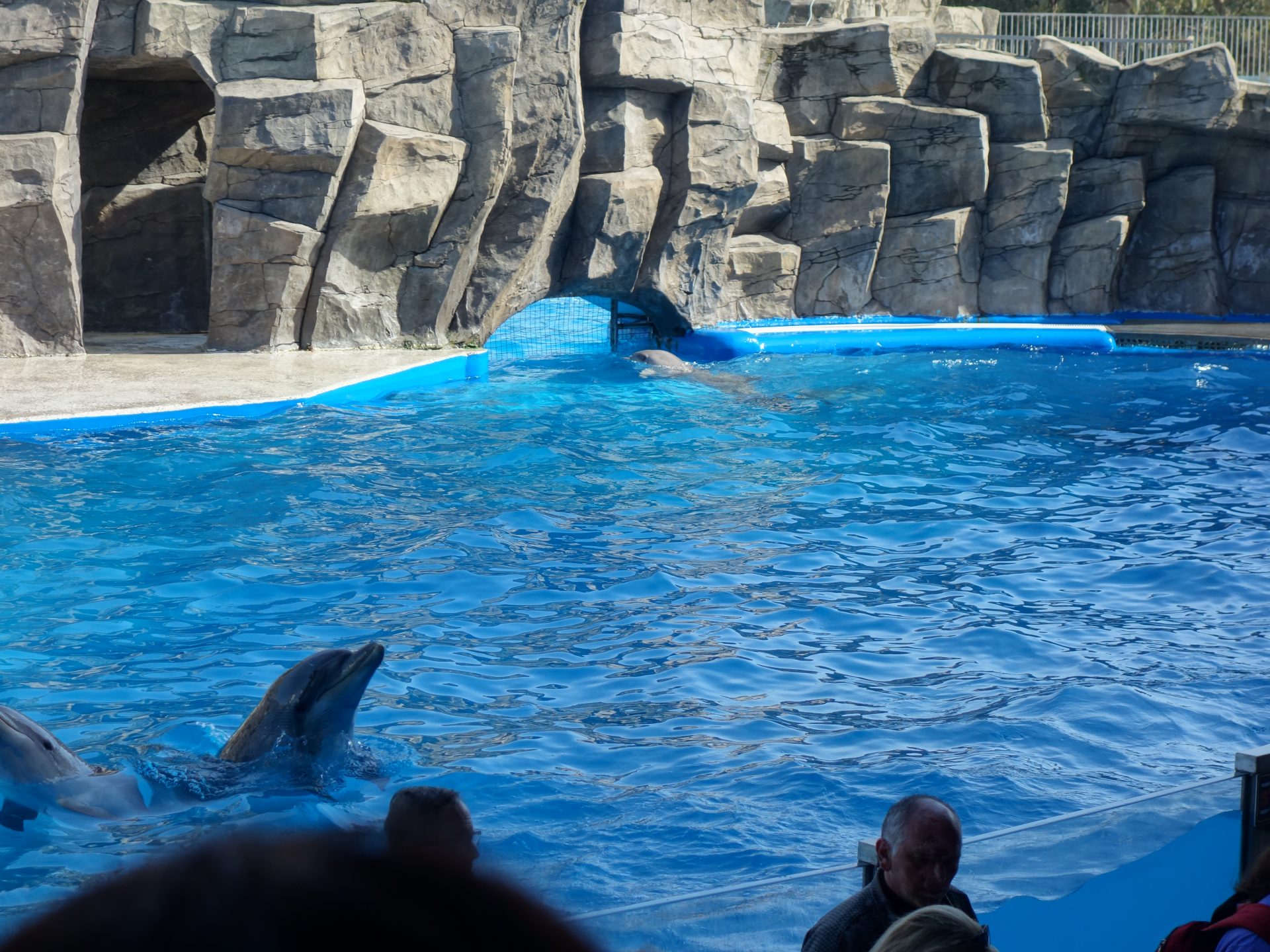 Atrakcje Batumi #2 – Ogród Botaniczny i Delfinarium – Miejski Wojażer