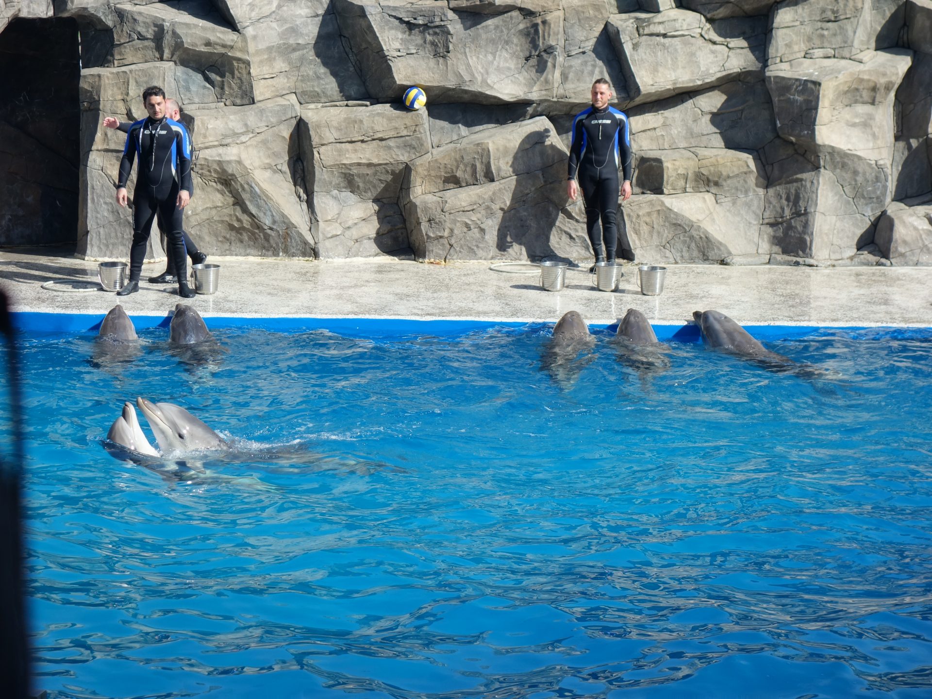 Atrakcje Batumi #2 – Ogród Botaniczny i Delfinarium – Miejski Wojażer