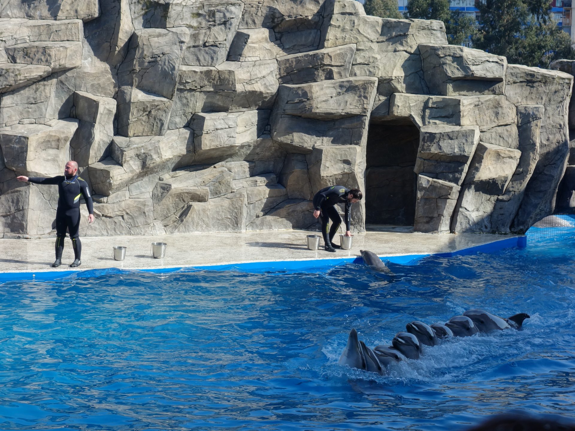 Atrakcje Batumi #2 – Ogród Botaniczny i Delfinarium – Miejski Wojażer